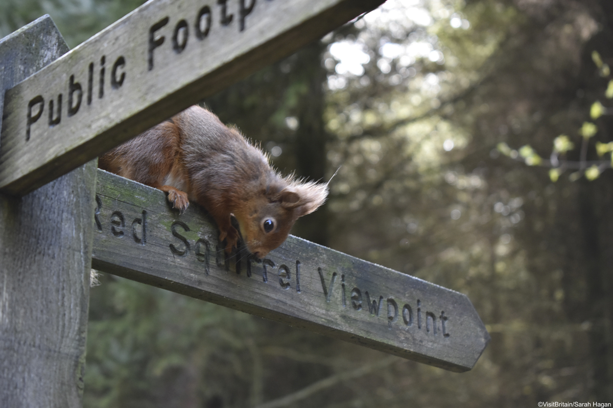De 15 nationale parken van Groot-Brittannië | Britblog