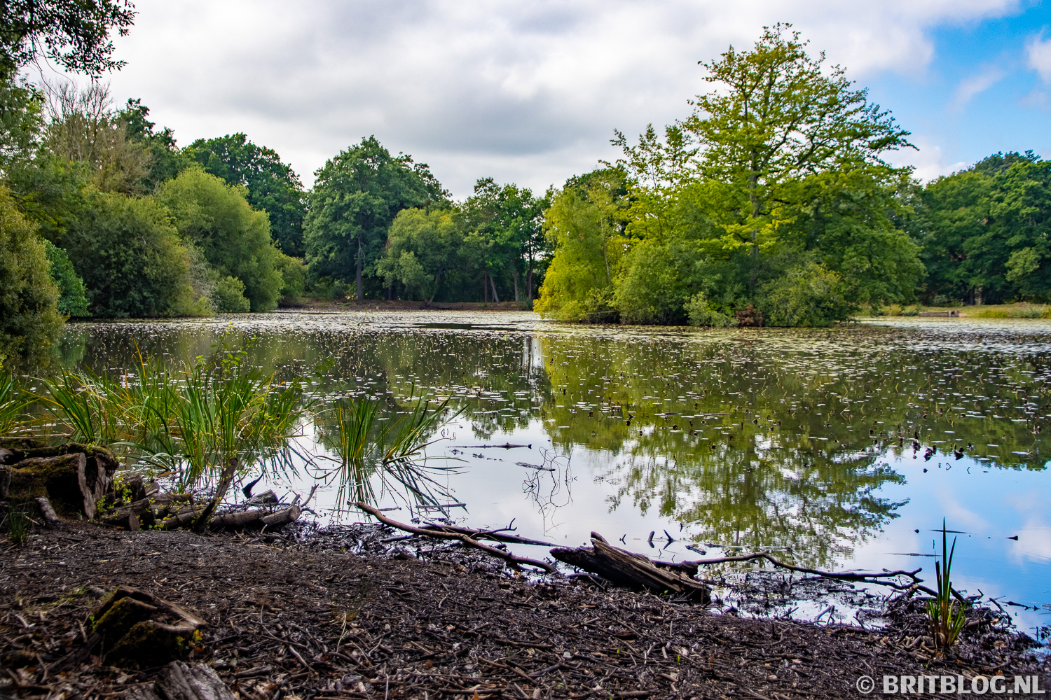 1066 Battle of Hastings, abdij en slagveld - Britblog